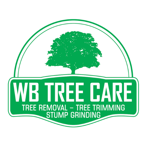 Our Reviews WB Tree Care Trusted Michigan Tree Service Our Reviews WB Tree Care Trusted Michigan Tree Service